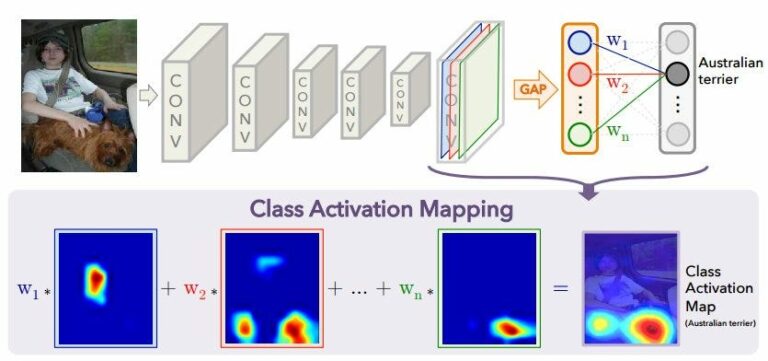 Class activation maps: Visualizing neural network decision-making ... Class activation maps: Visualizing neural network decision-making ...