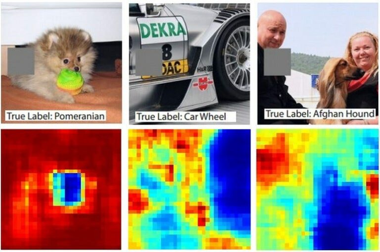 Class activation maps: Visualizing neural network decision-making ... Class activation maps: Visualizing neural network decision-making ...
