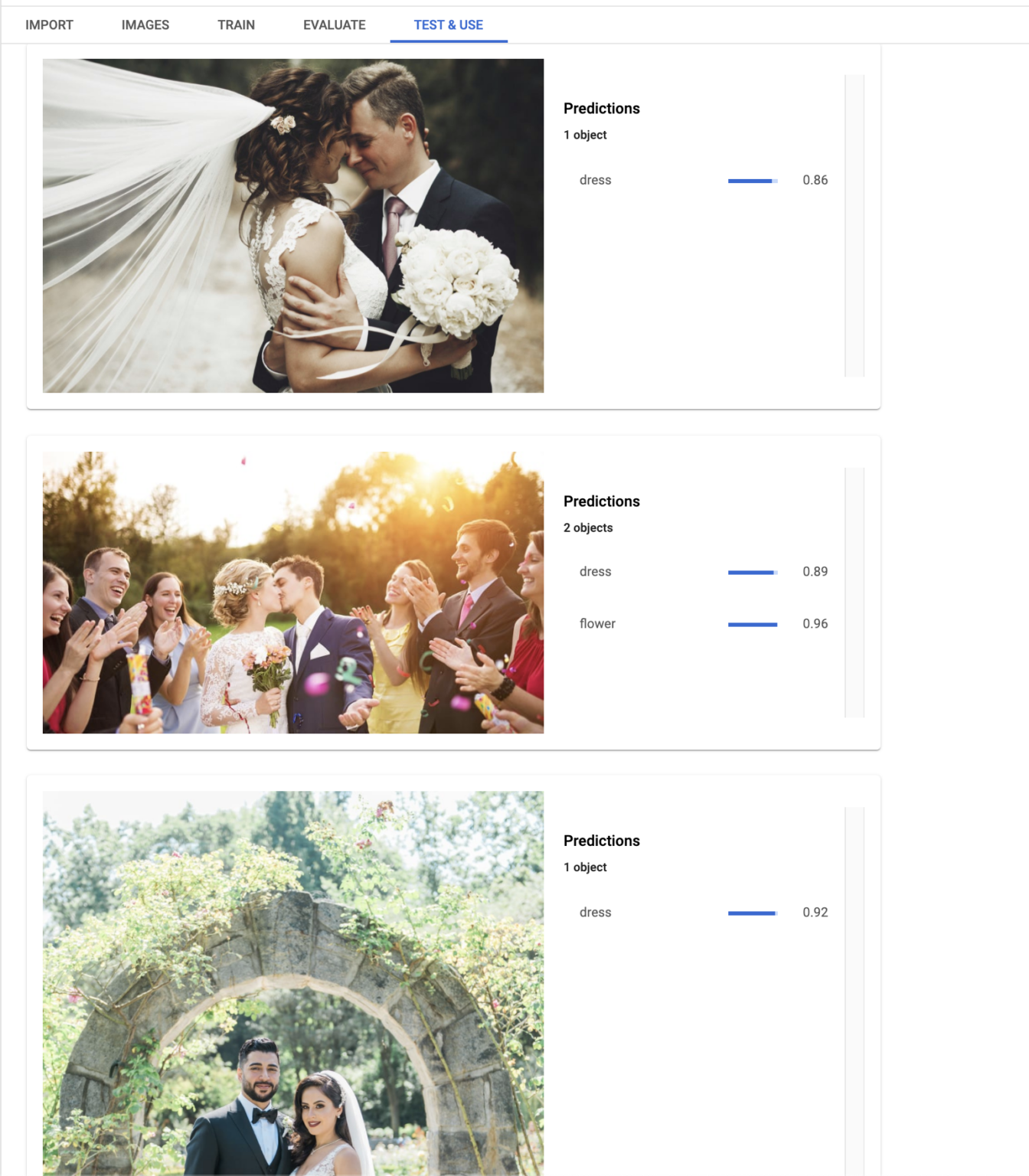 Training a Multi-Label Image Classification Model with Google Cloud ... Training a Multi-Label Image Classification Model with Google Cloud ...