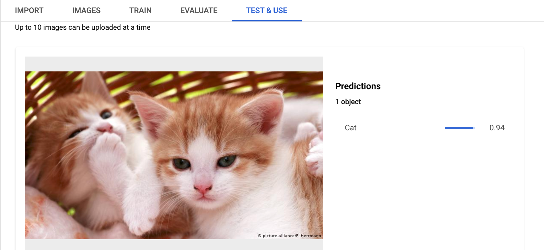 AutoML Vision Edge: Build machine learning models for mobile and edge devices—in hours - Fritz ai