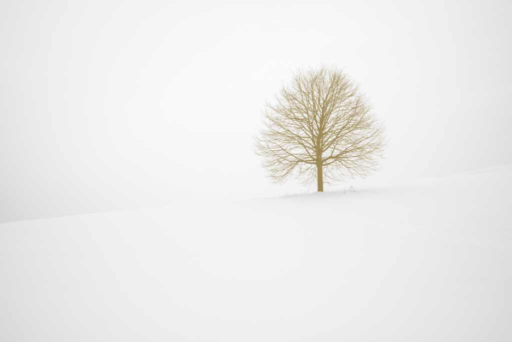 Introduction to Decision Tree Learning - Fritz ai