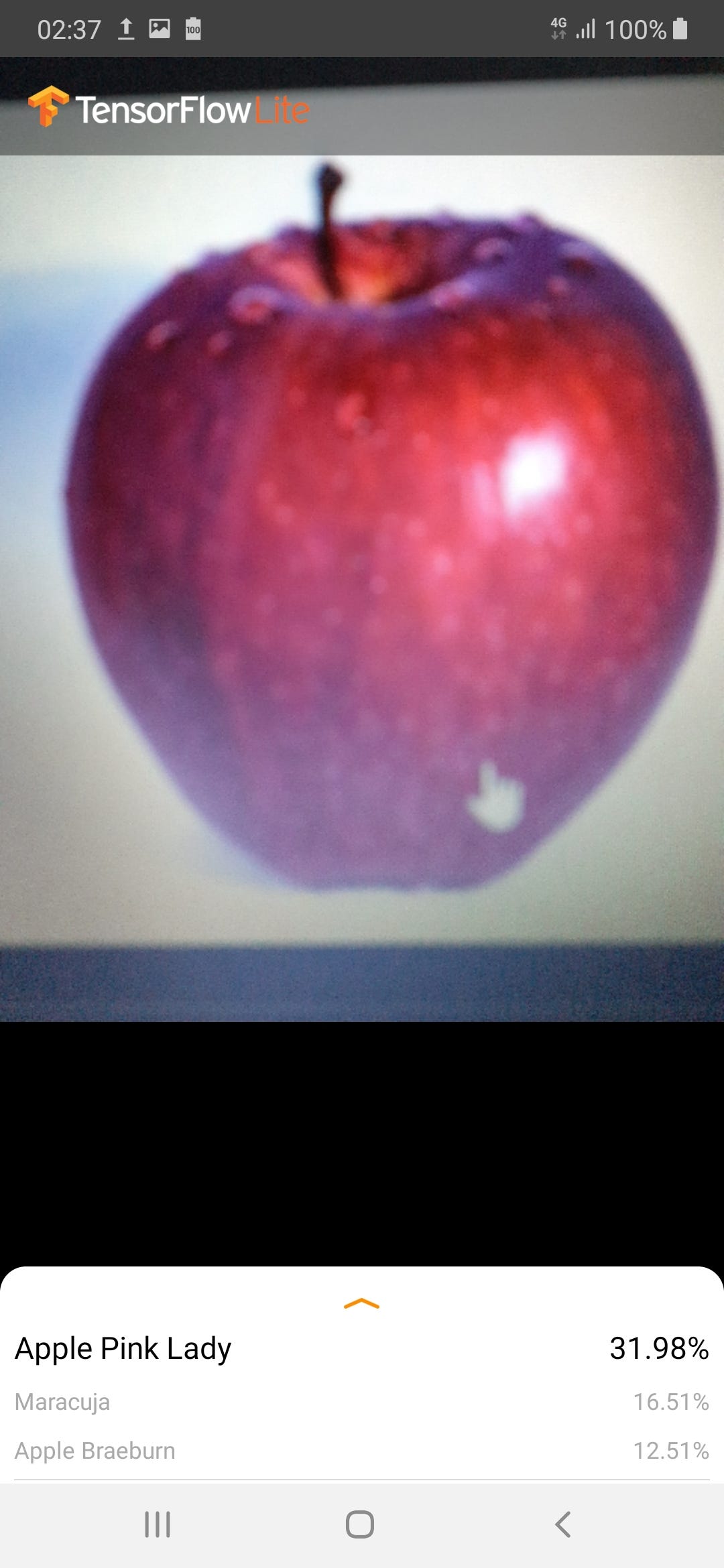 Image Recognition for Android with a Custom TensorFlow Lite Model - Fritz ai