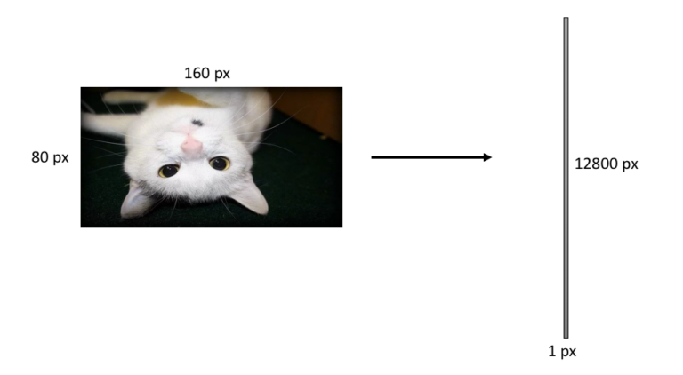 Applications of Matrix Decompositions for Machine Learning - Fritz ai