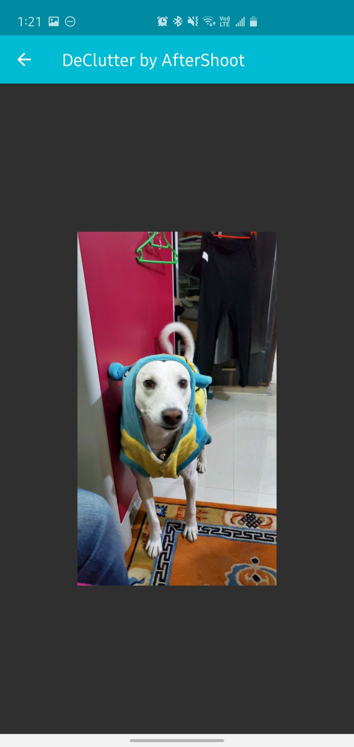 Implementing Activity And Element Transition Animations In Android Fritz Ai