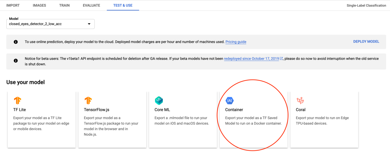 Using Google Cloud AutoML Edge Image Classification Models in Python - Fritz ai