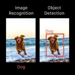 Object Detection Guide - Everything You Need to Know - Fritz ai