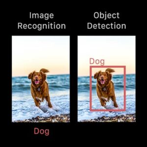 Object Detection Guide - Everything You Need to Know - Fritz ai